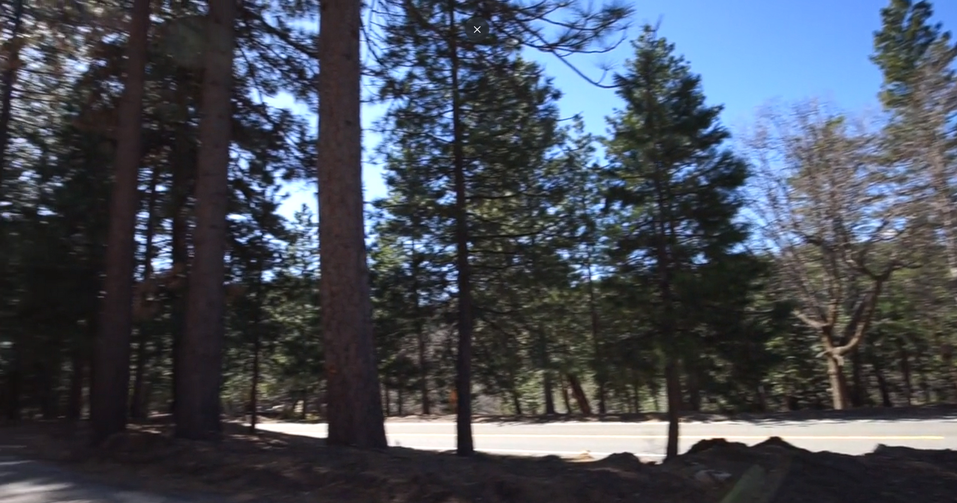 Pacific Pines - Angelus Oaks California